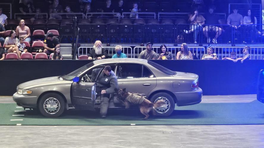K9 dogs show off their talents at Findlay Toyota Center event | News ...