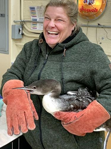 Birding: Wild bird rescue saves the life of uncommon bird | Features ...