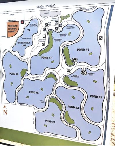 Birding: Birding at the Riparian Preserve at Gilbert Water Ranch ...