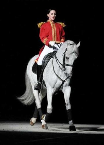 Photo Gallery: The World Famous Lipizzaner Stallions | Photo Galleries ...