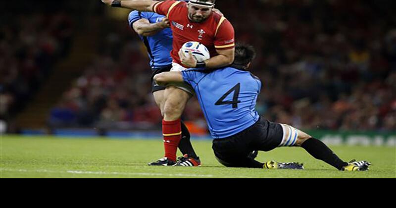 Video shows rugby player paying the penalty as lion bites his hand ...