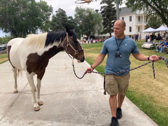 Northern Arizona VA hosts equine therapy event as finale of June’s PTSD ...