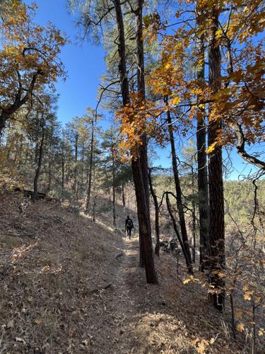 Up for a Thanksgiving hike? Opportunities for fall colors still remain ...