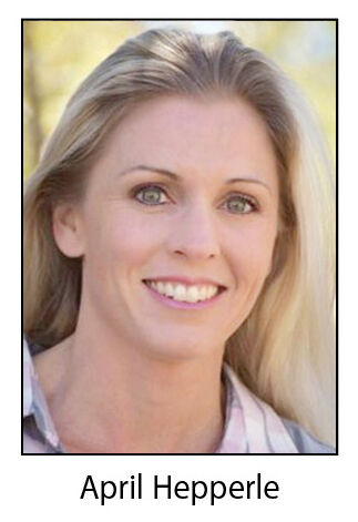 Prescott Valley Town Council candidates answer how town should handle ...