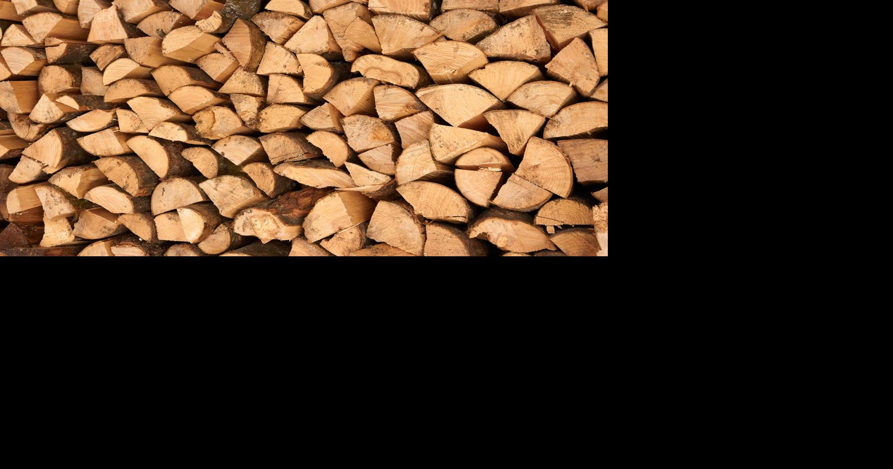 Prescott National Forest makes fuelwood collection available to public ...