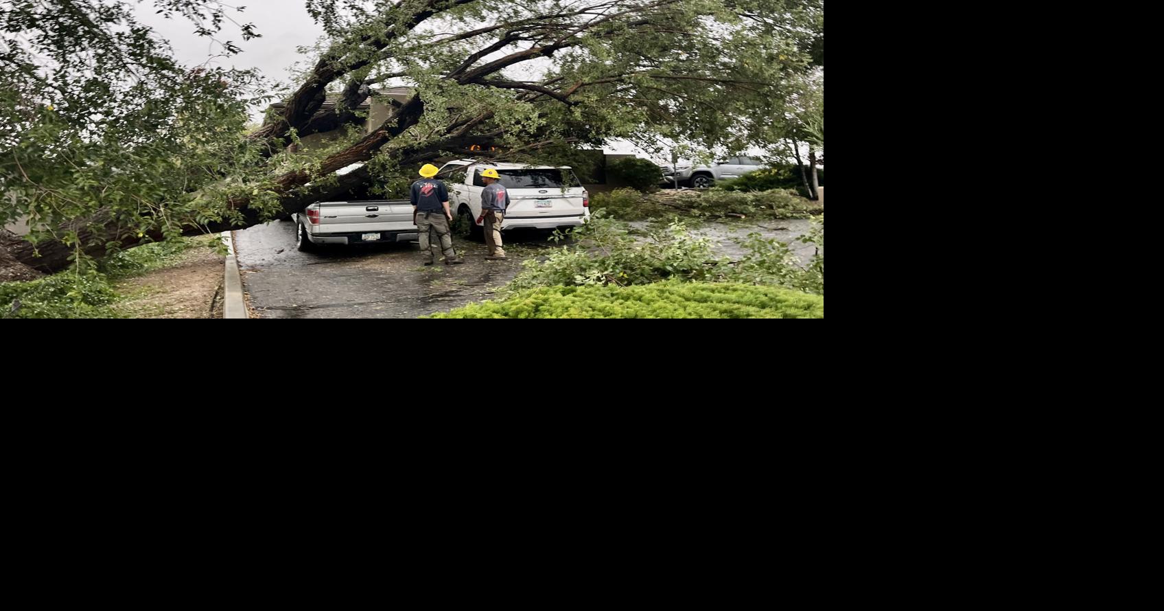 Photo: High winds = damage | News | dcourier.com