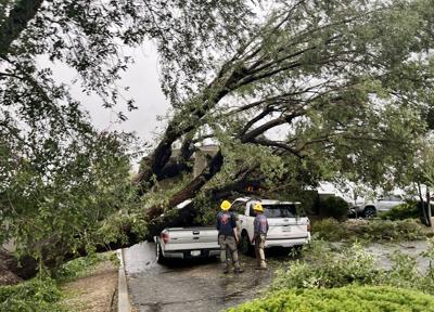 Photo: High winds = damage | News | dcourier.com