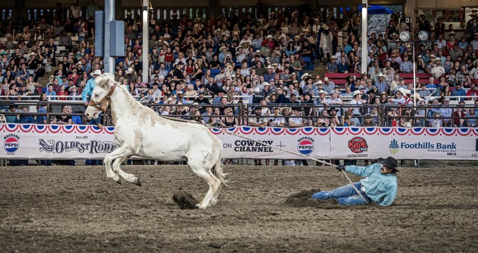 Rodeo Roundup: Become a ‘World’s Oldest Rodeo’ member | Features ...