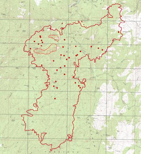 Firefighters strengthen, improve northwest edge of the Crooks Fire ...