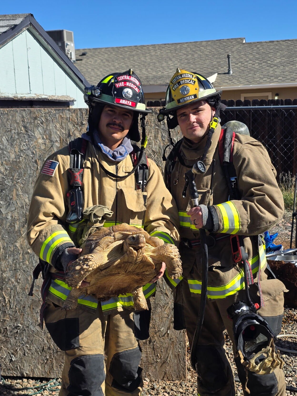 CAFMA rescues tortoise from smoky shed, emphasizes heat lamp safety ...