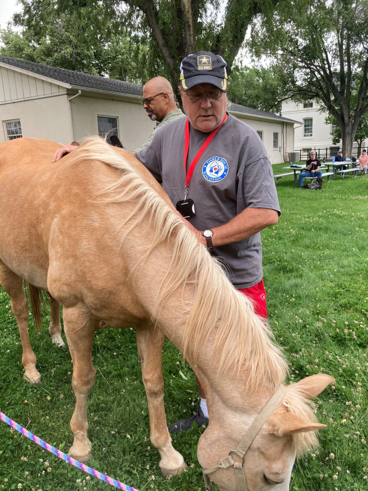 Northern Arizona VA hosts equine therapy event as finale of June’s PTSD ...