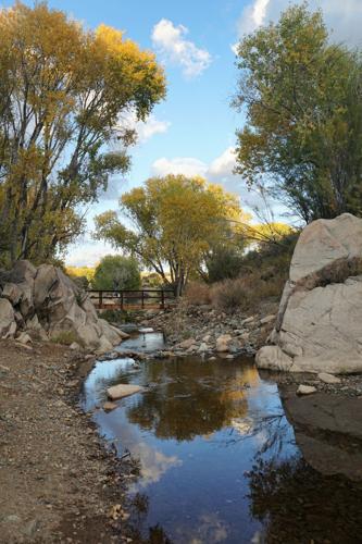Prescott Area Waterfront Fall Foliage | Photo Galleries | dcourier.com