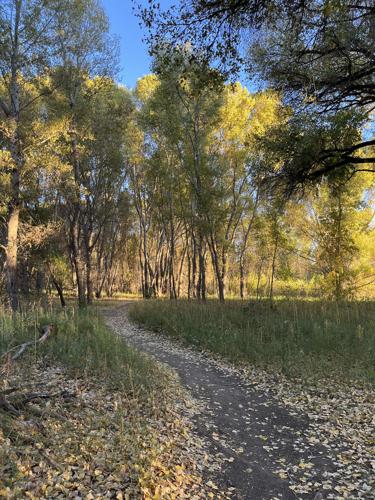Up for a Thanksgiving hike? Opportunities for fall colors still remain ...