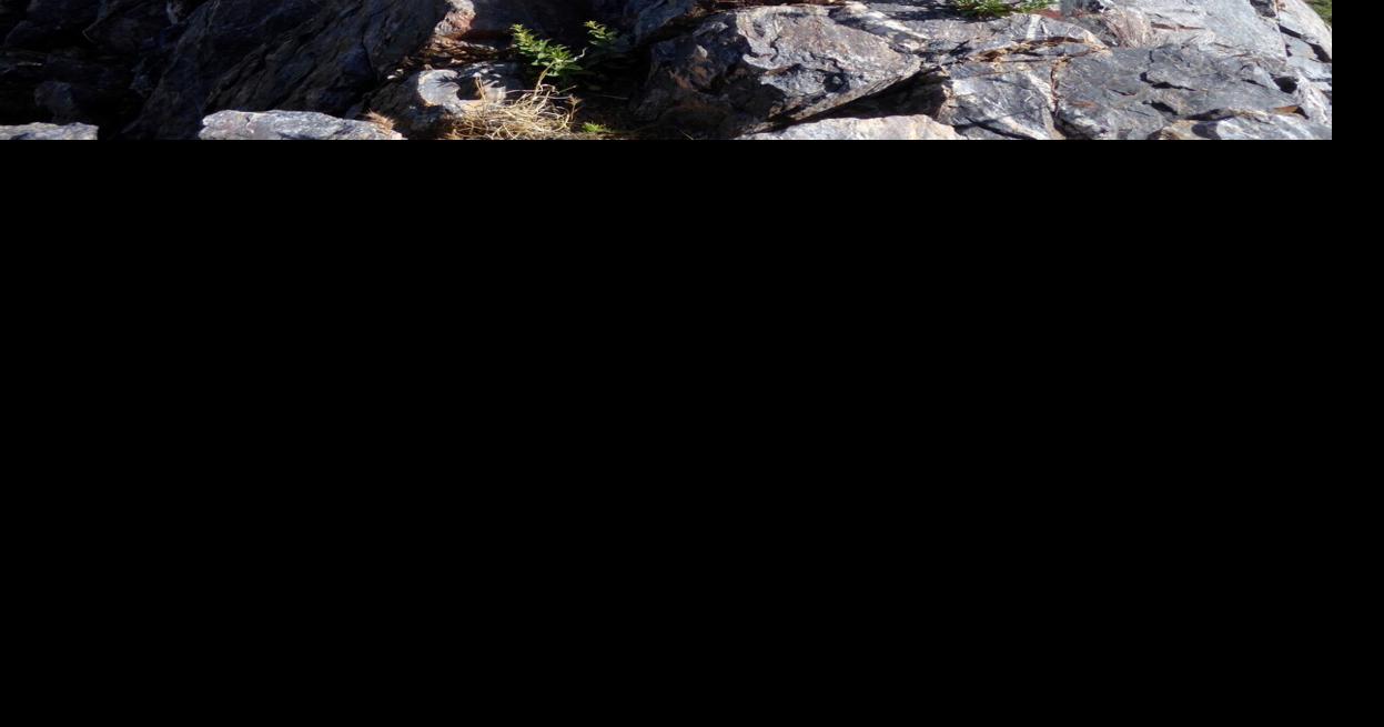 Amazing Places: Exploring Jagged tooth | Features | dcourier.com