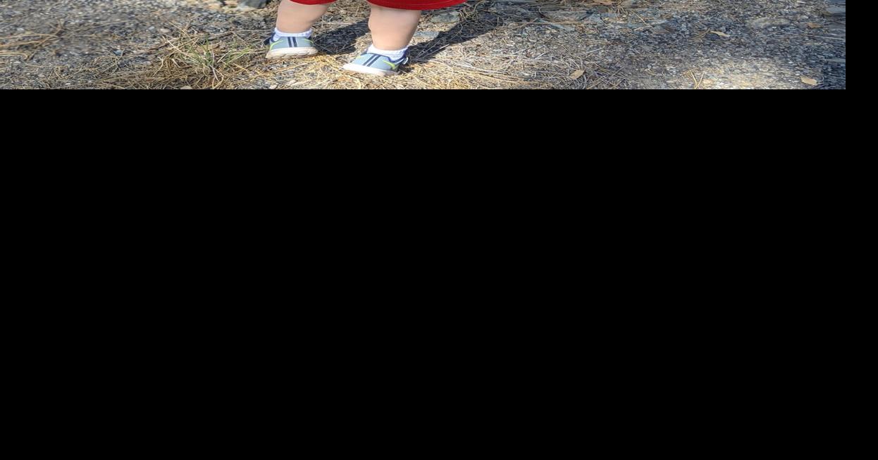 Imagination Library of Prescott Area triples in participants in past ...