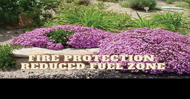 Mountain Gardener: Top 10 ground covers and 9 places to plant them ...