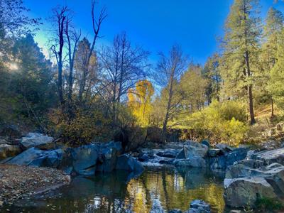 Photo: Autumn foliage surrounds Lynx Creek in Prescott National Forest ...