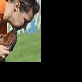 Photos: Arizona Kennel Club AKC championship show | News | dcourier.com