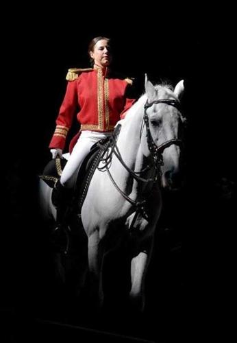 Photo Gallery: The World Famous Lipizzaner Stallions | Photo Galleries ...