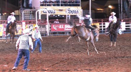 Video: Hall of Fame Bullfighter Rob Smets explains saddle bronc riding ...