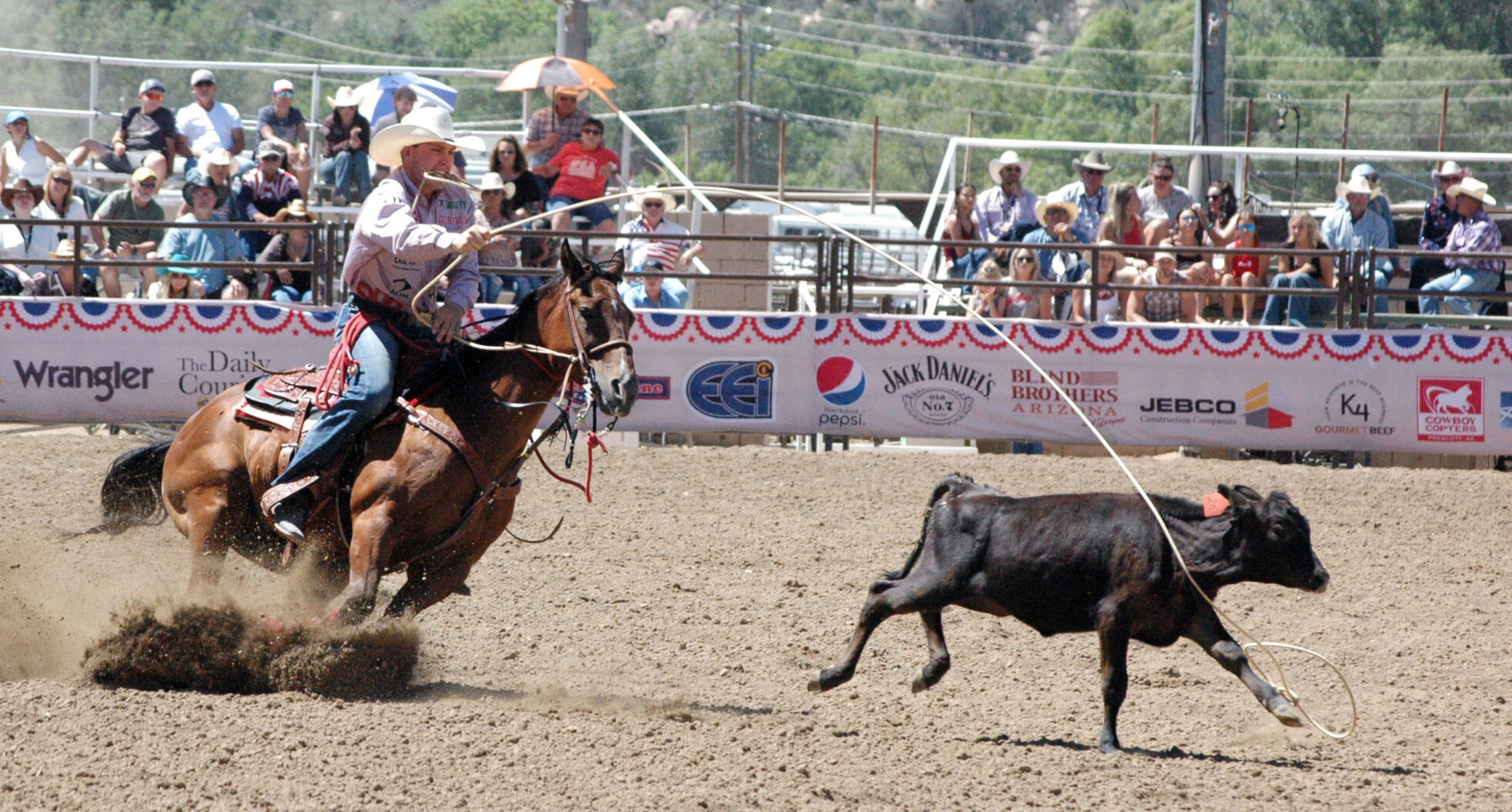 Rodeo Lingo: What did the announcer say? | Features | dcourier.com