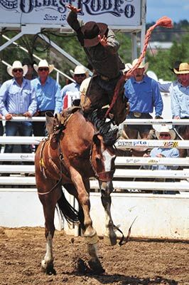 RODEO 2015: Timed event contestants to watch | Sports | dcourier.com