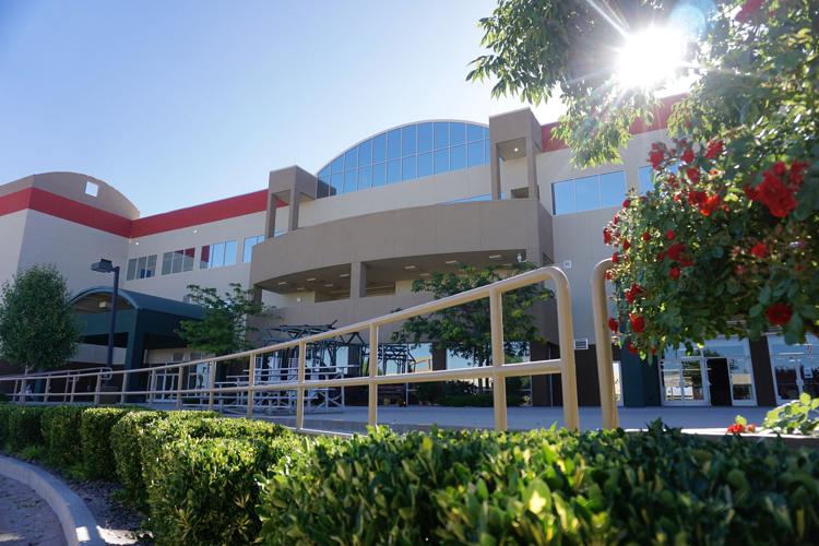 Arizona Downs back in the saddle | News | dcourier.com