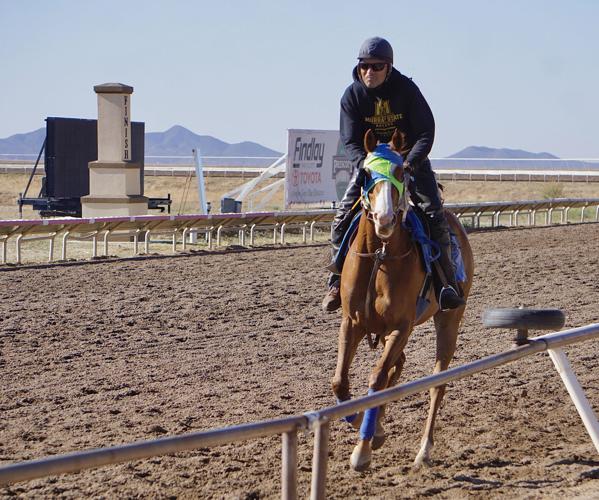 Arizona Downs back in the saddle | News | dcourier.com