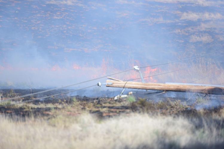 Wildfire in PV neighborhood sparked by downed electrical pole (Gallery ...