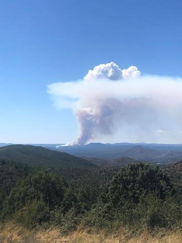 Sheridan Fire grows, Pemberton Fire dwindles | News | dcourier.com