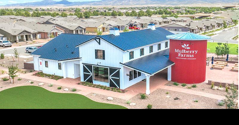 Feature Home: Mulberry Farms, a Great Street Community | Features ...