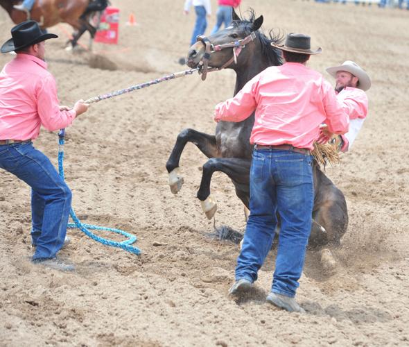 070719 Prescott Frontier Days Rodeo | Photo Galleries | dcourier.com