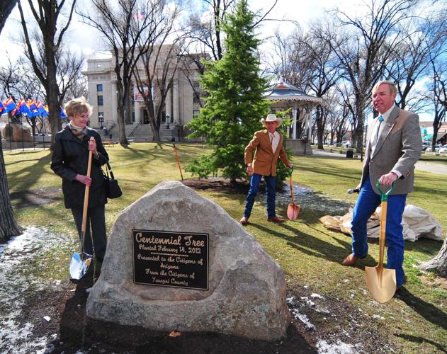 Carol Springer Through The Years | Photo Galleries | dcourier.com