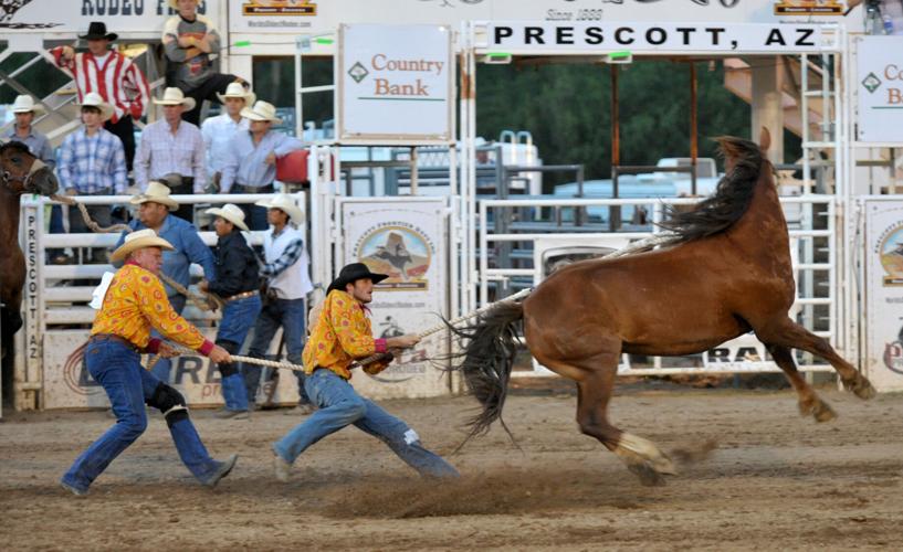 Wild Horse Race gets each rodeo performance off to a rowdy start | News ...