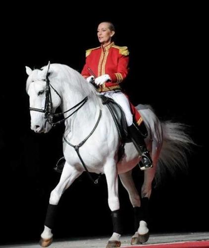 Photo Gallery: The World Famous Lipizzaner Stallions | Photo Galleries ...