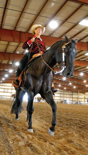 American Quarter Horse show reveals animals' beauty, grace | News ...