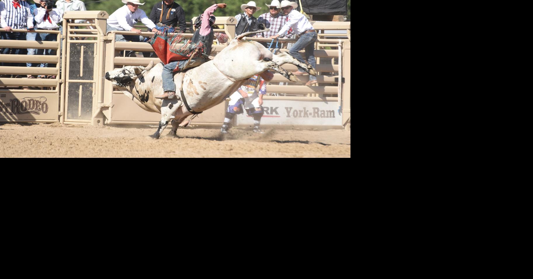 'World's Oldest Rodeo' results - after Day 4 - 2023 | Sports | dcourier.com