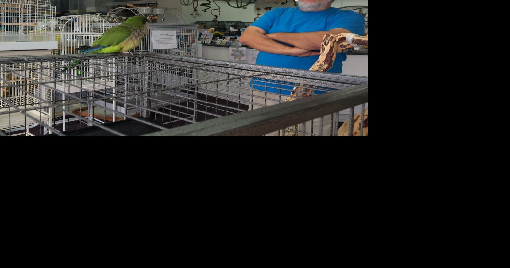 Local bird store helps parrots find their happy place | Business ...