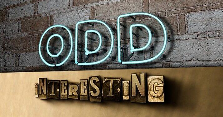 Extremely rare white alligator is born at a Florida reptile park | Odd ...