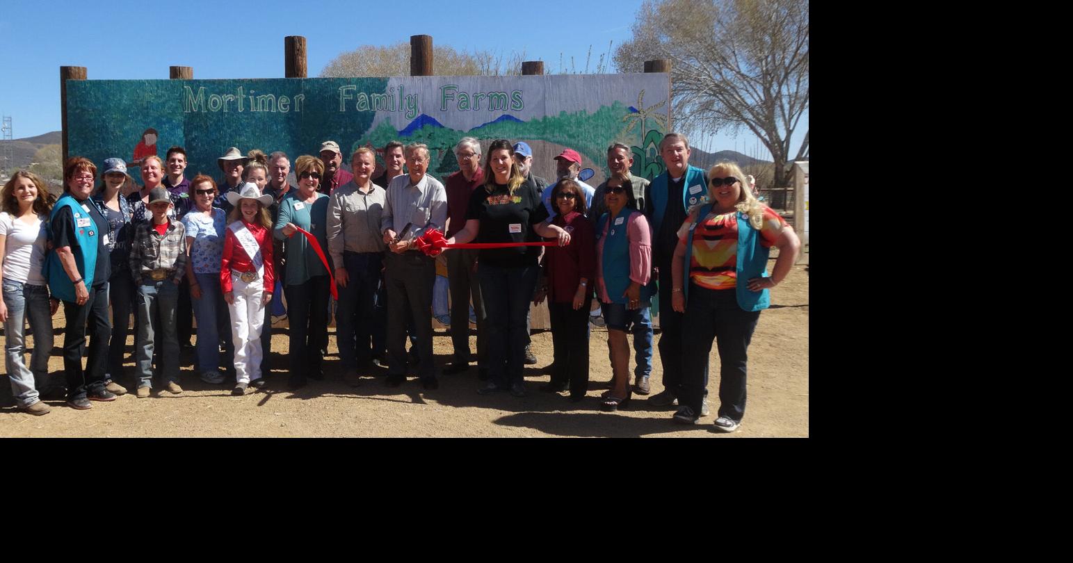 Chamber Focus: Mortimer Farms’ Farm Park open for business | Business ...