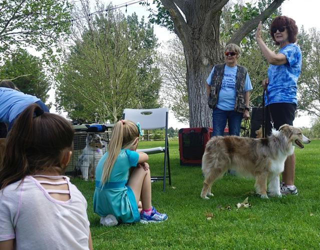 Chino Valley library rewards Summer Program readers with finale event ...