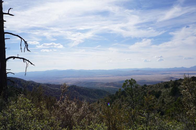 Yeager Canyon hike shows off two sides of the mountain | Archives ...