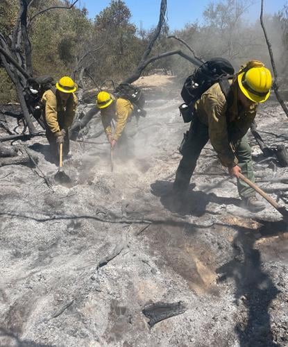 Rose Fire near Wickenburg reported 70% contained | News | dcourier.com