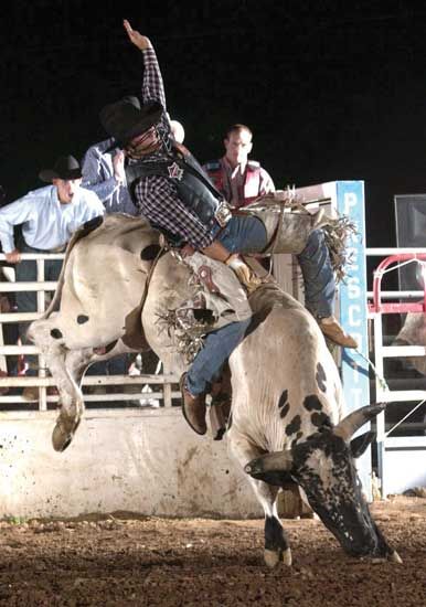 Cowboy Capital Professional Bull Riders in Prescott Saturday | Sports ...