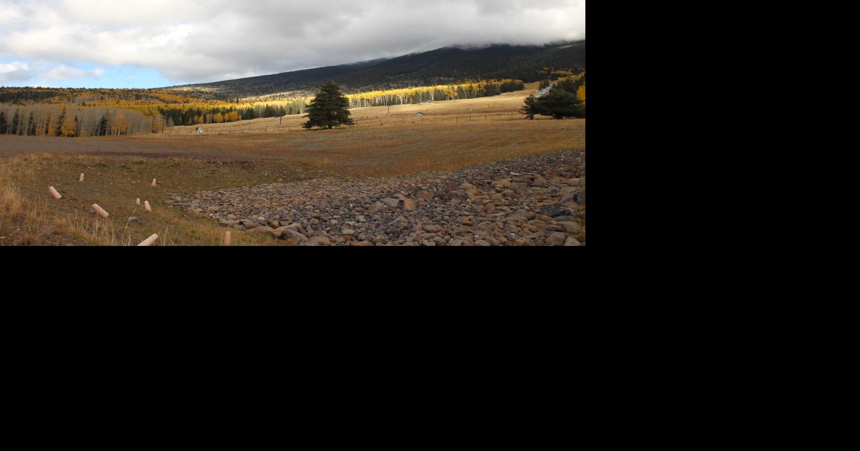 Climate change and drought are muting bright fall colors as we know ...
