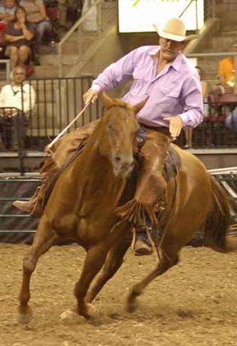 Pat Parelli Equine Seminar | Photo Galleries | dcourier.com