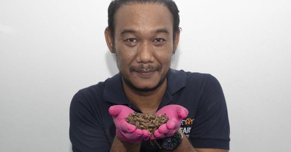 Thai entrepreneur pushing insects as the snack of the future | Odd ...