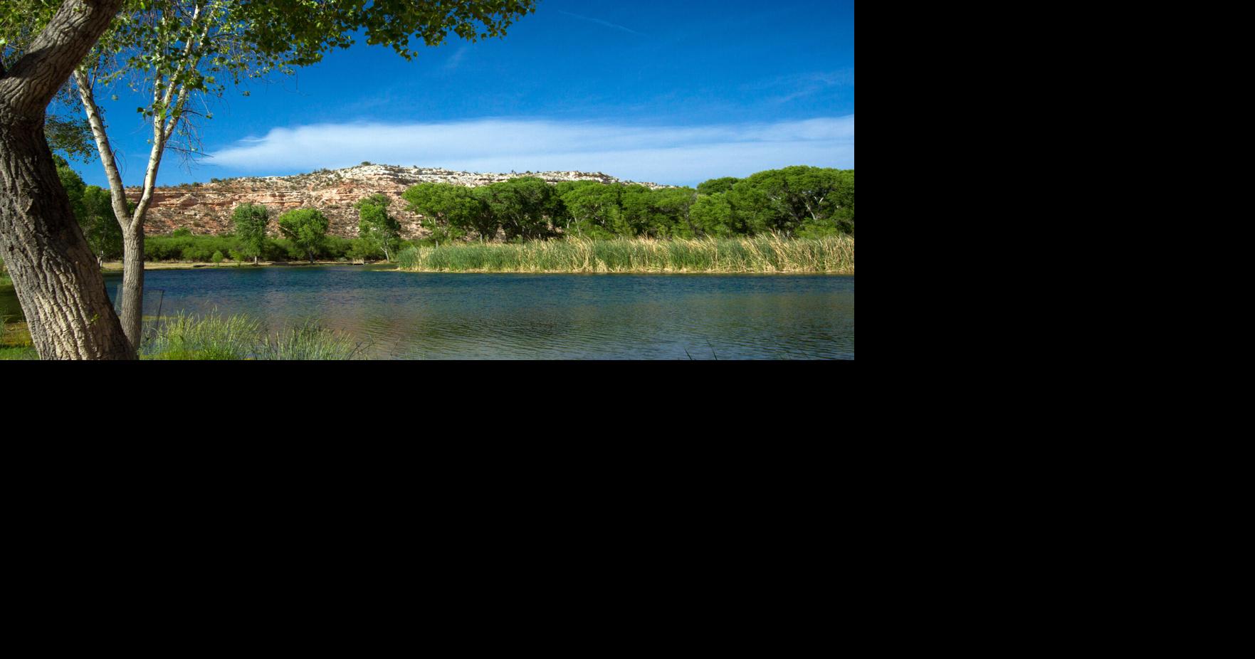 Moore: Fantastic, Awesome, Amazing Birding at Dead Horse Ranch State ...