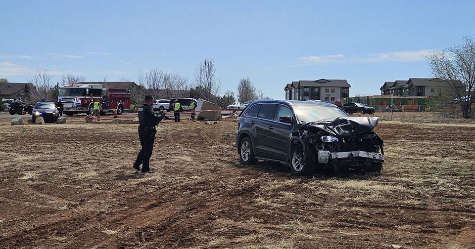 Brush fire and power outage reported after a driver crashes into ...