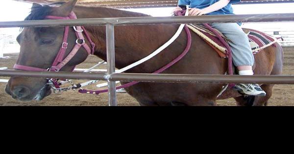 Autistic student's skills help garner grant for Horses with HEART ...